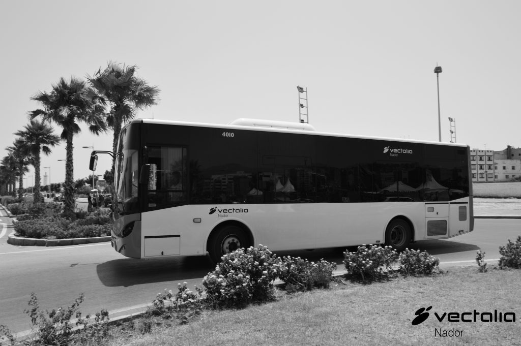 Vectalia Nador - Portal Vectalia